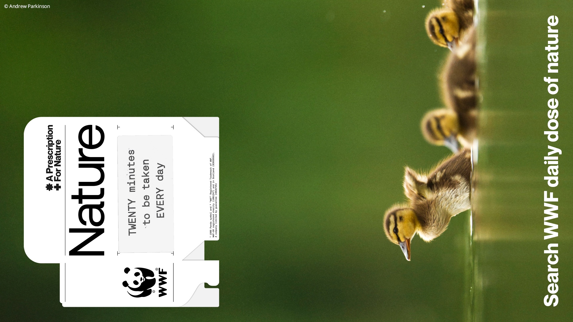 System1: WWF Campaign Shines as Model for Charity Advertising - adsofbrands.net