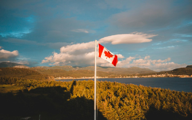Canadian Bureau for International Education Appoints ARK to Lead Global ...