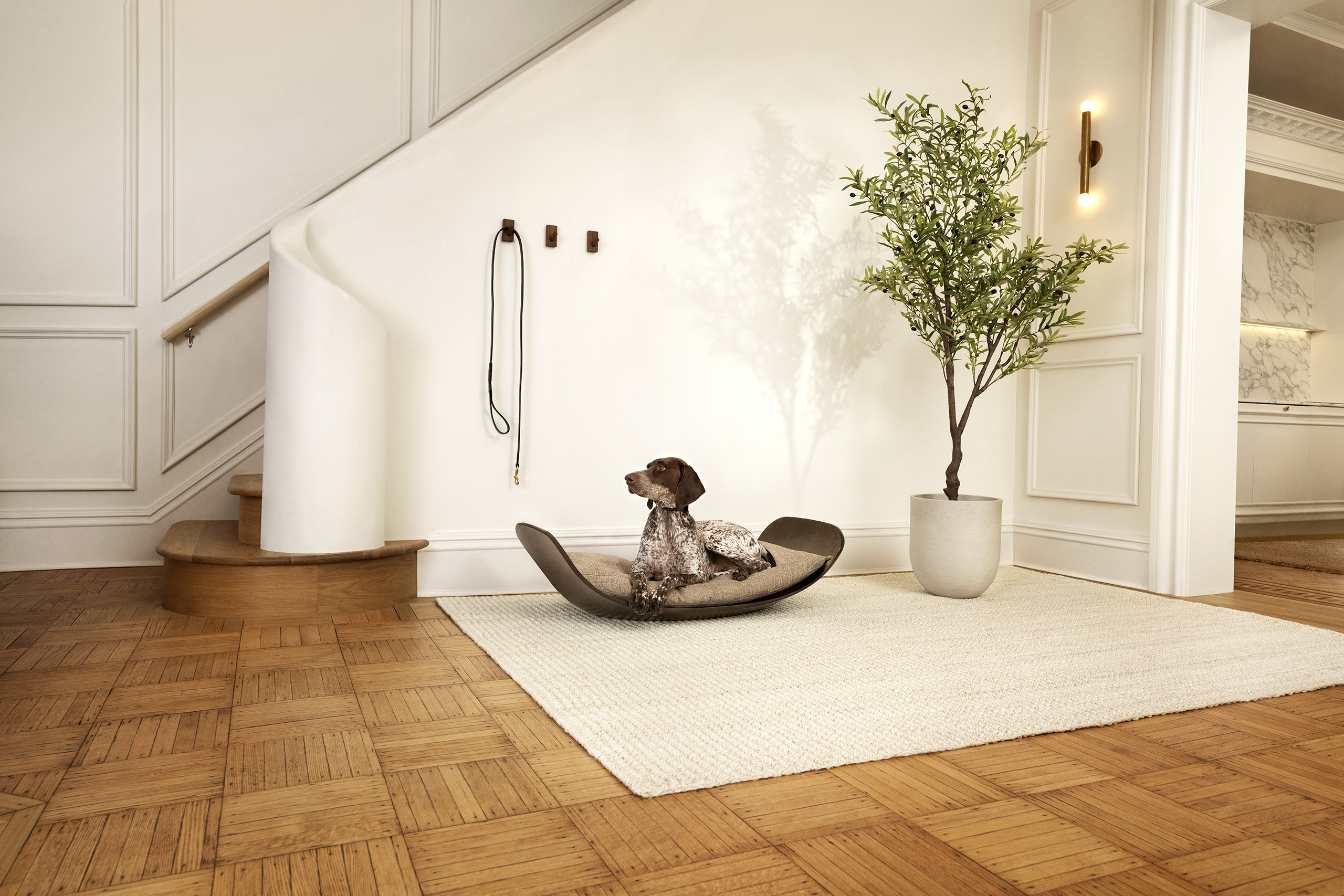 ROOOF Launches Modern Dog Beds for the Design-Conscious Pet Owner ...