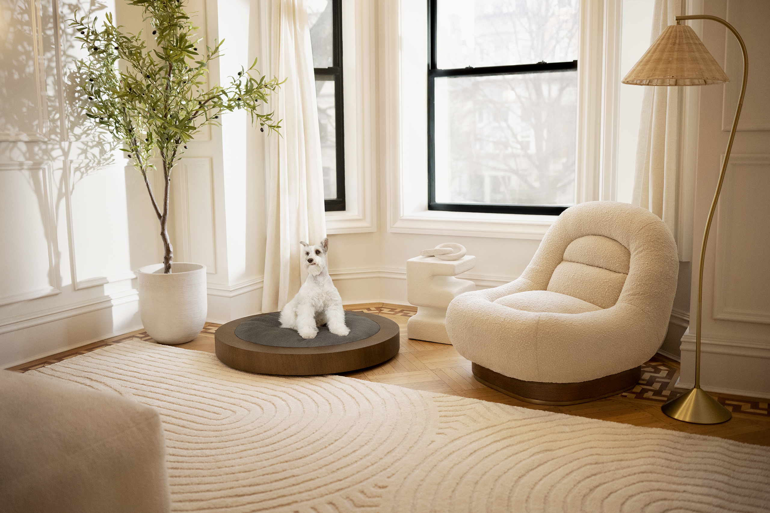 ROOOF Launches Modern Dog Beds for the Design-Conscious Pet Owner ...