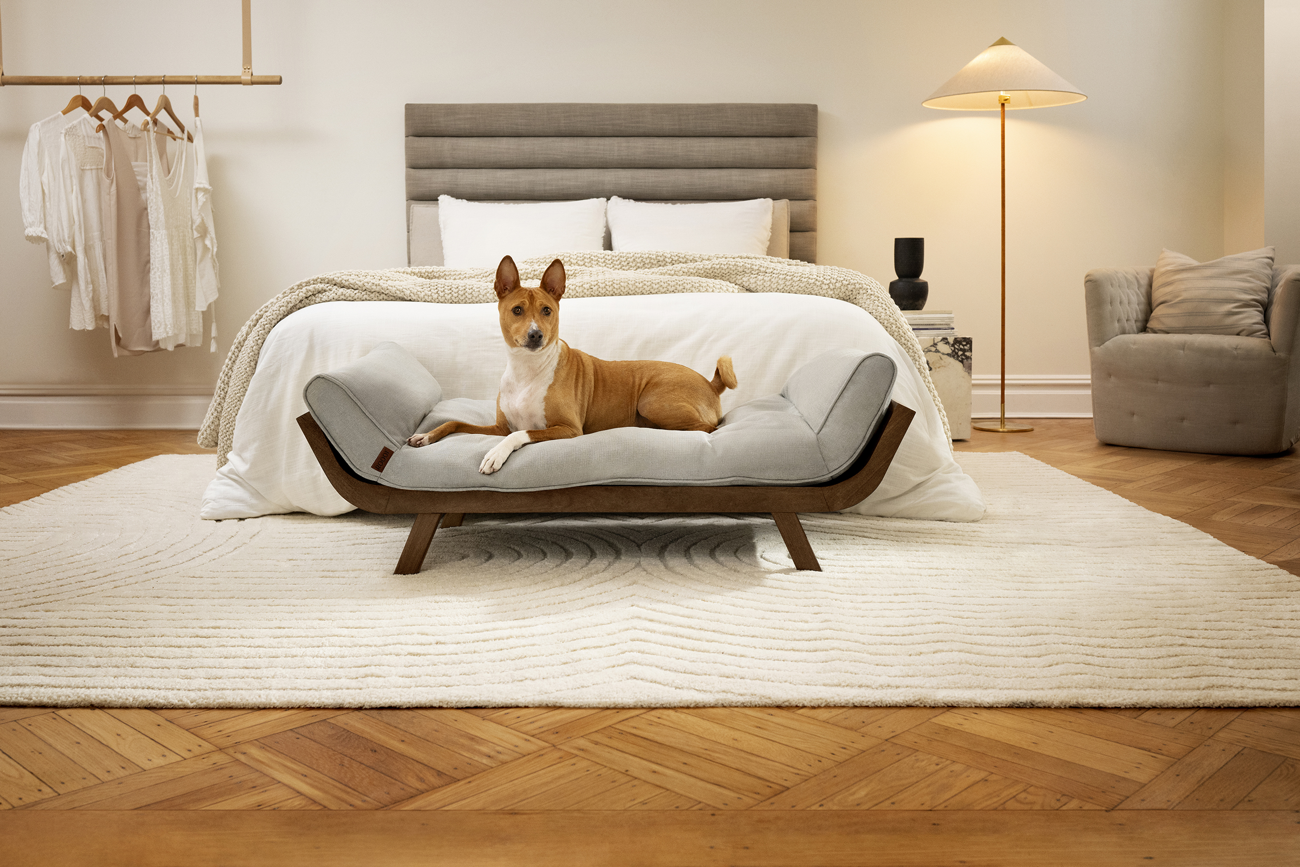 ROOOF Launches Modern Dog Beds for the Design-Conscious Pet Owner ...