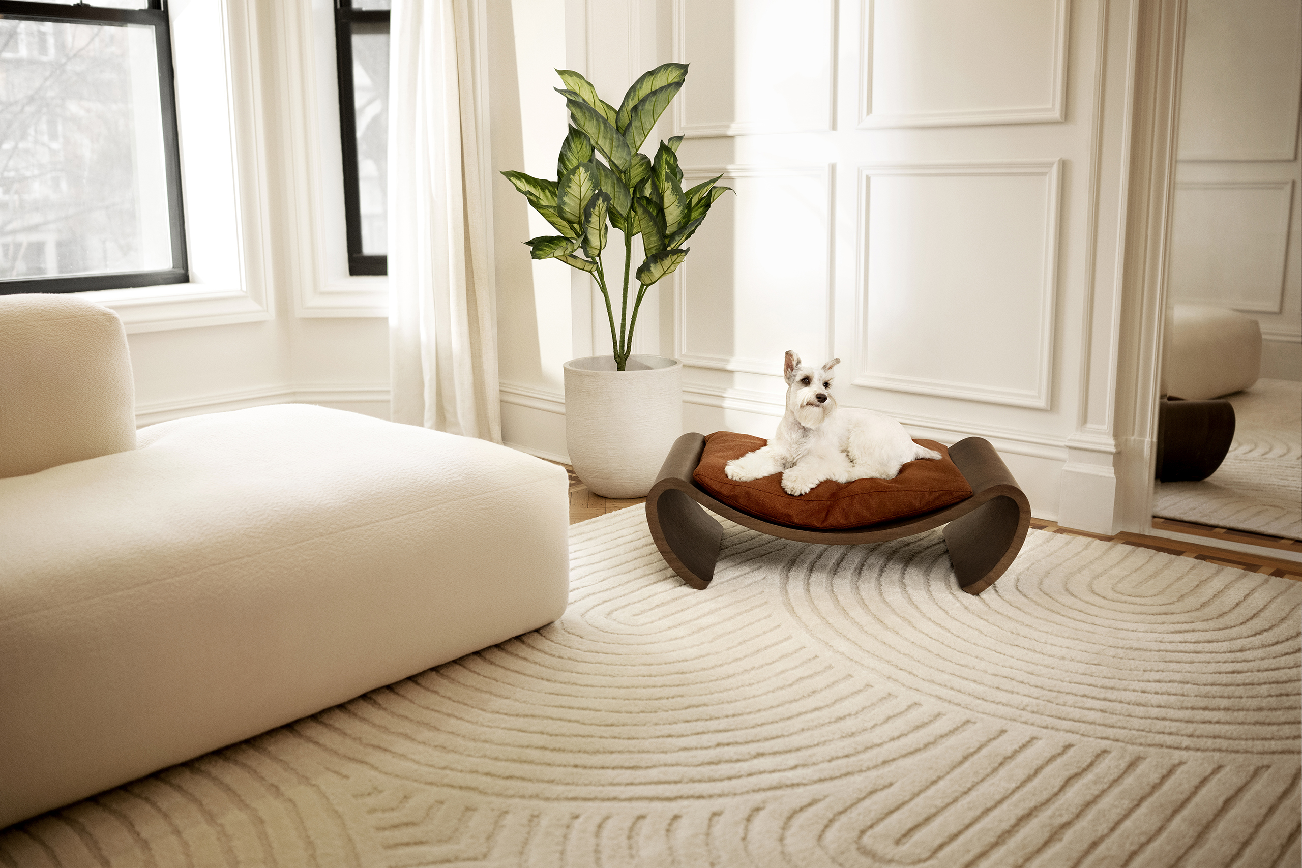 ROOOF Launches Modern Dog Beds for the Design-Conscious Pet Owner ...