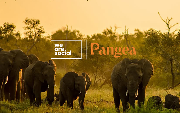 Pangea Trust Launches Rebrand with Support from We Are Social - adsofbrands.net
