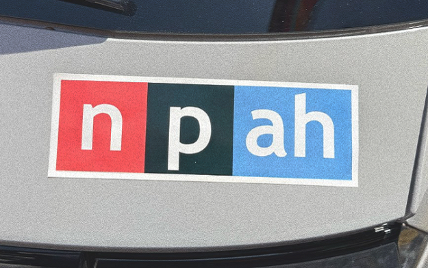 In Reaction to Federal Cuts, Nail Celebrates Regional Public Radio With ...